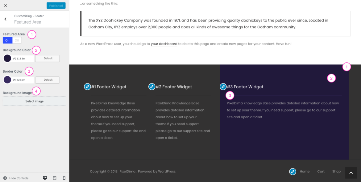 Footer Theme Options – PixelDima Help Docs